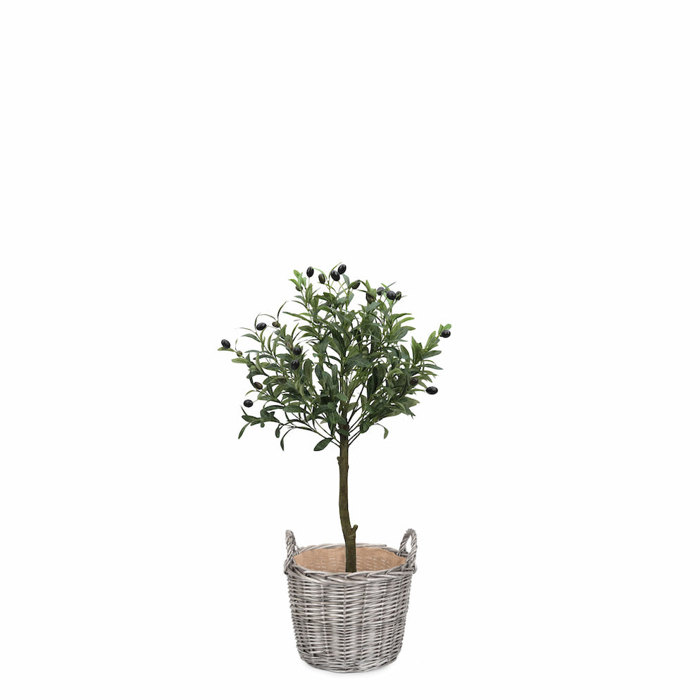 150cm Mediterranean Premium Olive Tree — Artificial Eden